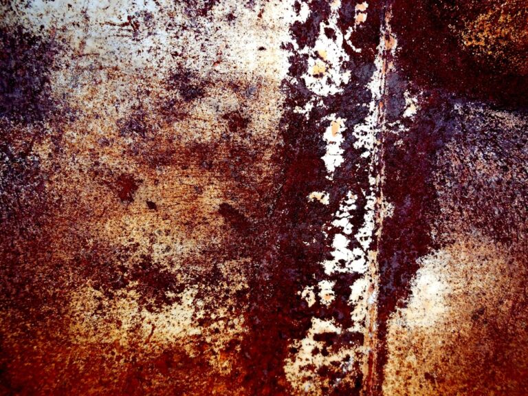 Iron Overload: The Hidden Danger of Heart Damage